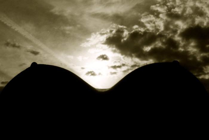 Křivoklátská vrchovina | Akty X 2011 | Reflex.cz